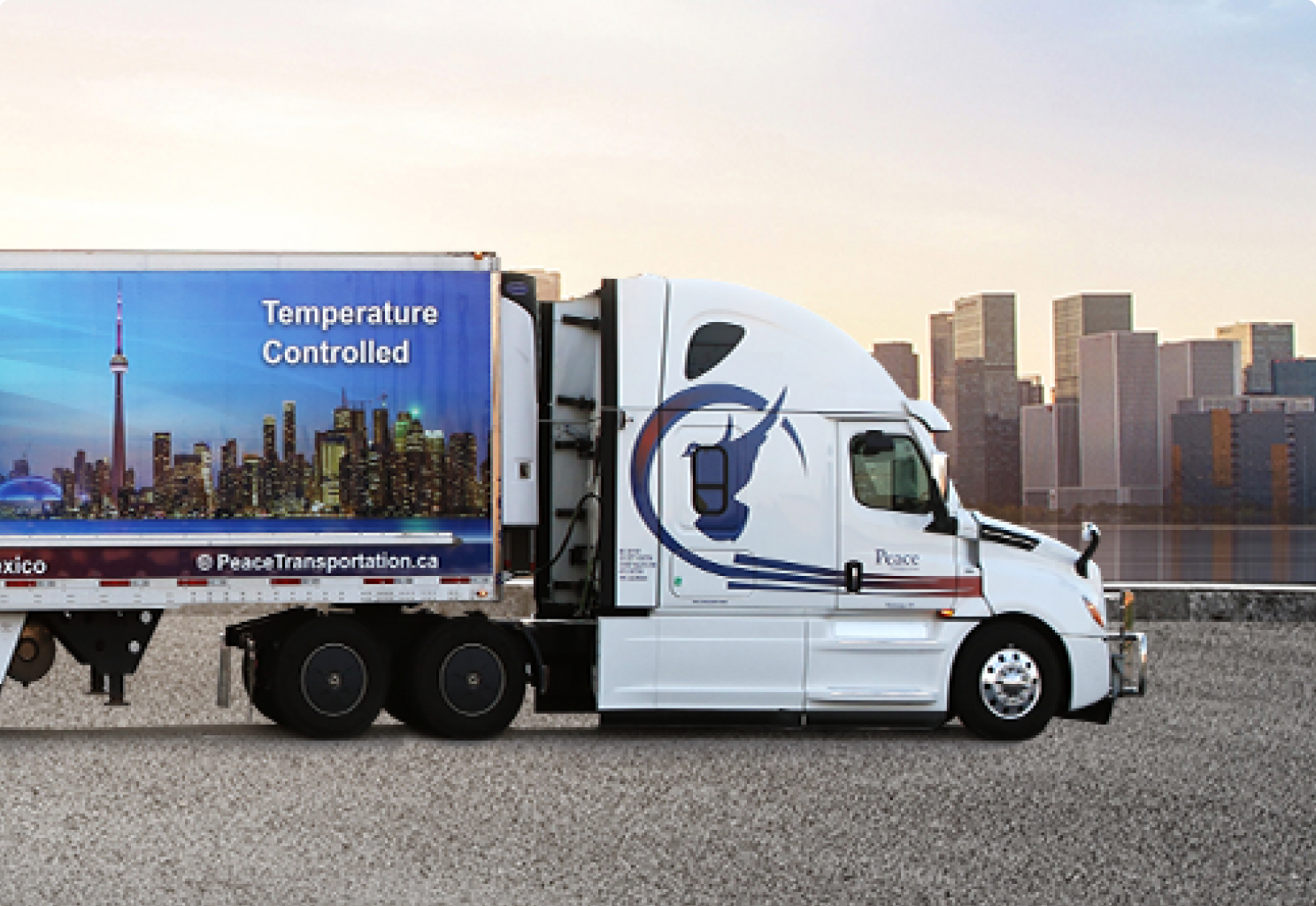 Essentials Requirements For The Transportation Of Frozen Food